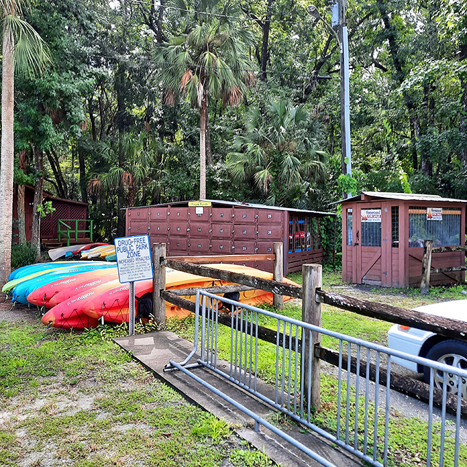 Colorful kayaks wait their turn to transport visitors into Florida's watery wilderness &ndash; chariots for modern-day explorers.