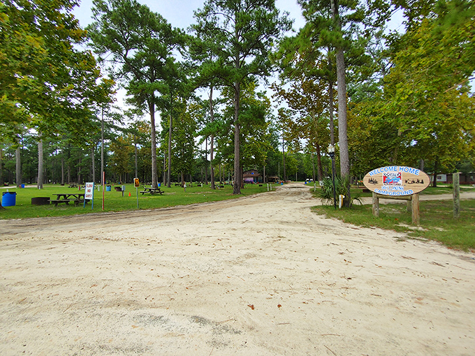 Here's where city stress melts away faster than marshmallows over an open flame&mdash;pure woodland serenity awaits.