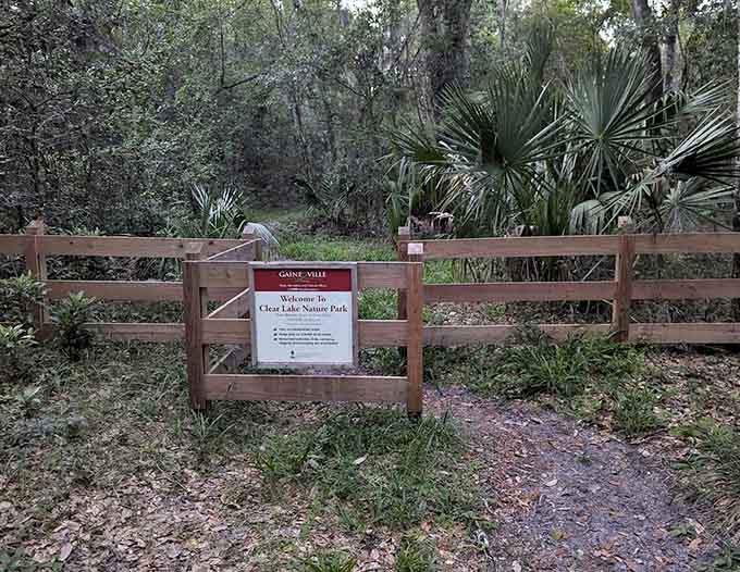 Wooden fences mark park boundaries with rustic simplicity, keeping visitors on track without being pushy about it like some overachieving guardrails.