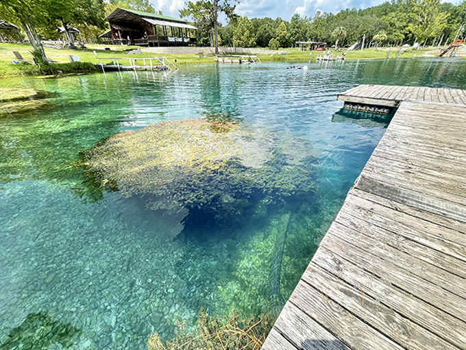 Water clarity here makes you question whether you're actually underwater or just wearing really good goggles, until you remember that goggles don't require regulators.