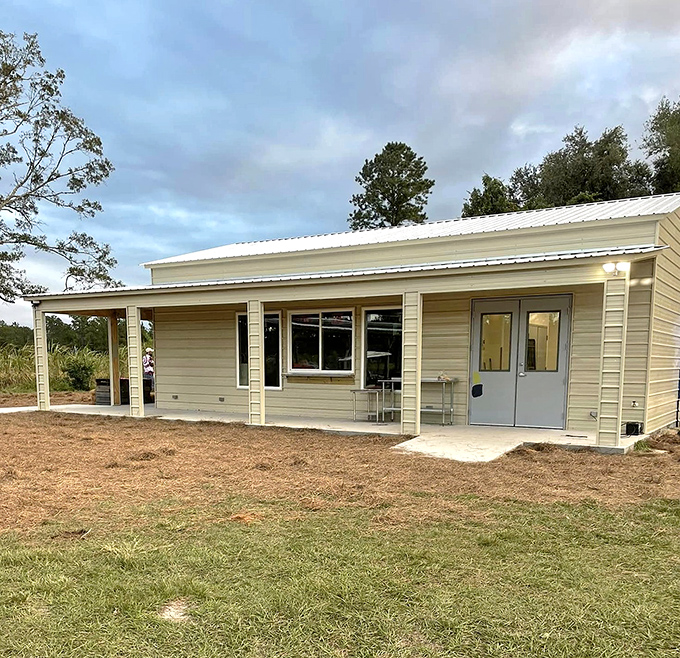 This unassuming building houses the magic that transforms field harvests into market-ready treasures, a culinary laboratory of sorts.