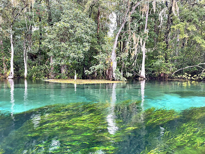 Crystal-clear water reveals every detail of the river bottom, offering visibility that makes you realize most bodies of water are basically keeping secrets about what's happening down there.