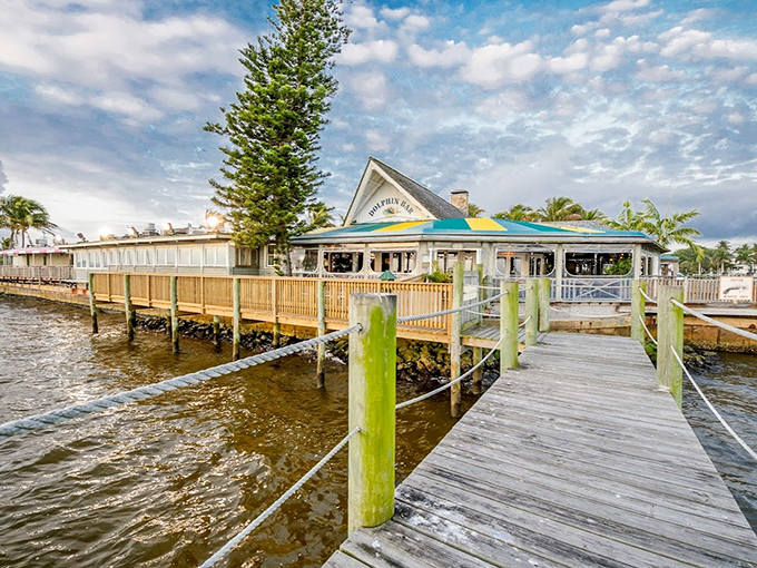 Waterfront dining where the seafood practically jumps onto your plate, the Dolphin Bar's dock-to-dish experience comes with a side of spectacular views.