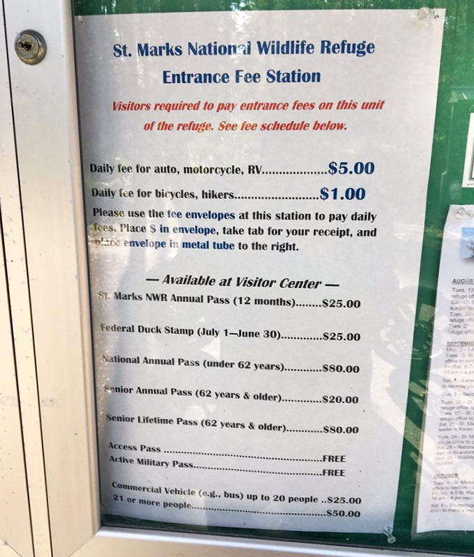 Five bucks for paradise? That's Florida's best bargain since the two-for-one orange juice special at the state line.