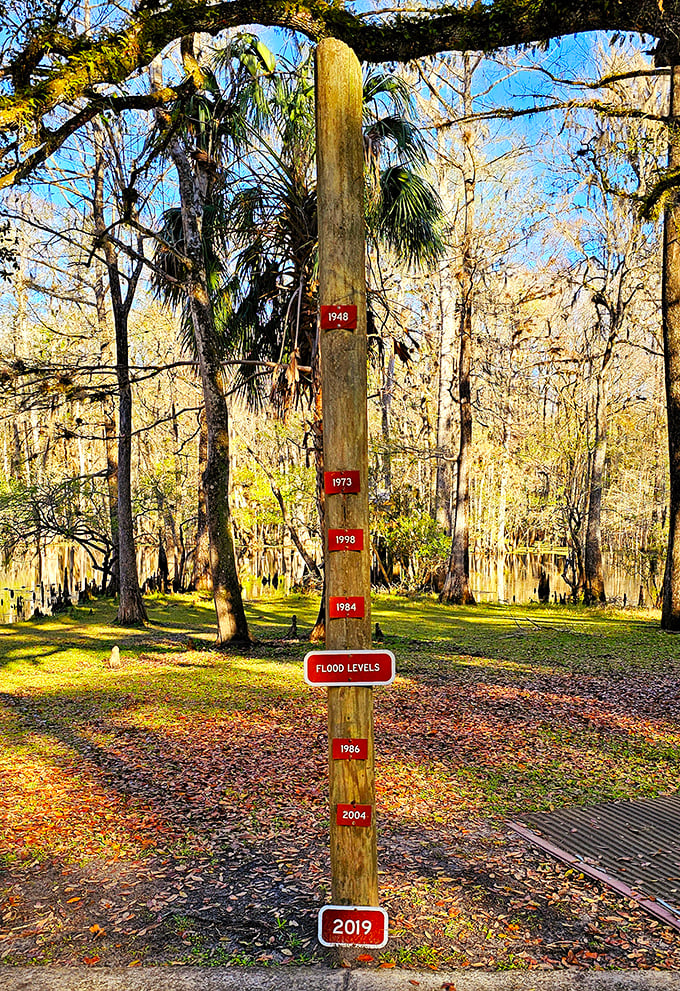 Historic flood markers tell water tales taller than fishermen's stories&mdash;nature's own record-keeping of Suwannee's mighty rises.