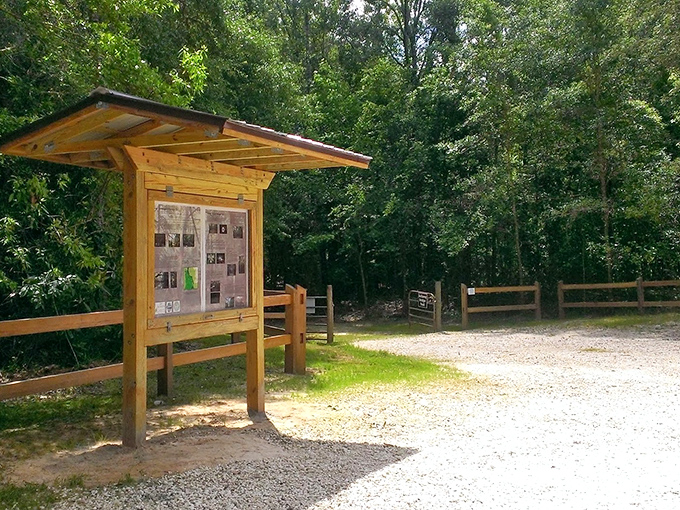 The forest entry point serves as a portal between worlds &ndash; step through and leave modern concerns behind.