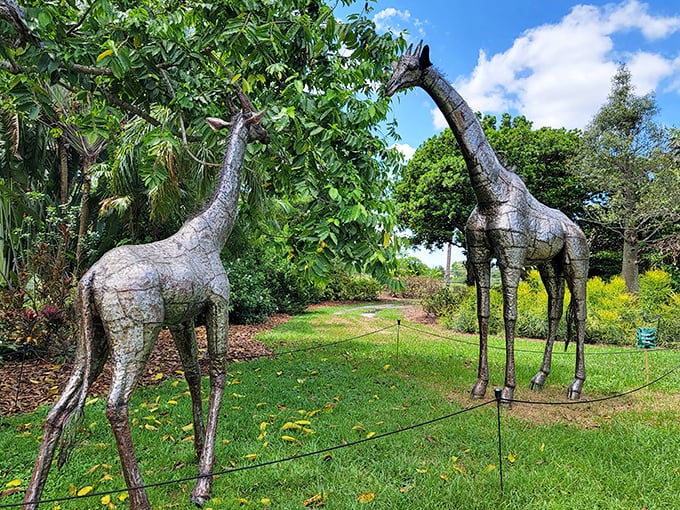 Metal giraffes stand tall among the palms, bringing African savanna vibes to Florida's tropical landscape in the best crossover episode ever.