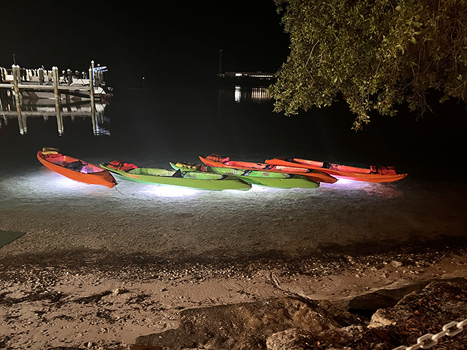 Glowing kayaks: The water transforms into an electric green wonderland as LED lights reveal a hidden universe beneath the kayaks' transparent bottoms. Photo credit: <a href="https://www.google.com/maps/contrib/116495339449065838574/photos/@24.5717597,-81.7521244,17z/data=!3m1!4b1!4m3!8m2!3m1!1e1?entry=ttu&g_ep=EgoyMDI1MTIwMi4wIKXMDSoASAFQAw%3D%3D" target="_blank" rel="noopener noreferrer">Kris Pollard</a>	Glowing kayaks: The water transforms into an electric green wonderland as LED lights reveal a hidden universe beneath the kayaks' transparent bottoms.