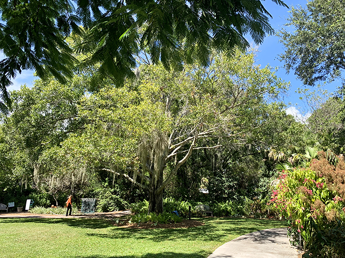A verdant sanctuary where Spanish moss drapes from ancient oaks like nature's own decorations.
