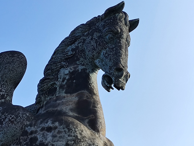 Horse Head: The noble profile of Pegasus captures both power and grace. Those eyes seem to follow you around the park!