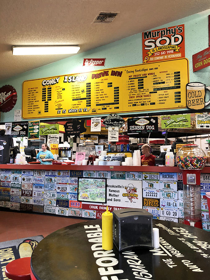 The counter service area showcases decades of collected license plates, creating a colorful patchwork of American road trip history.