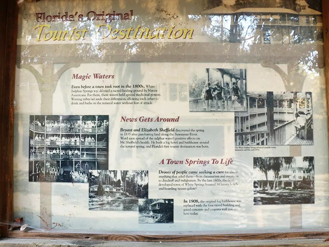 Florida's original tourist destination predated mouse ears by decades, drawing visitors seeking relief rather than roller coasters.