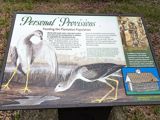 Information Board about Personal Provisions: Wildlife and agriculture sustained plantation life, as illustrated in this fascinating glimpse of historical food systems.