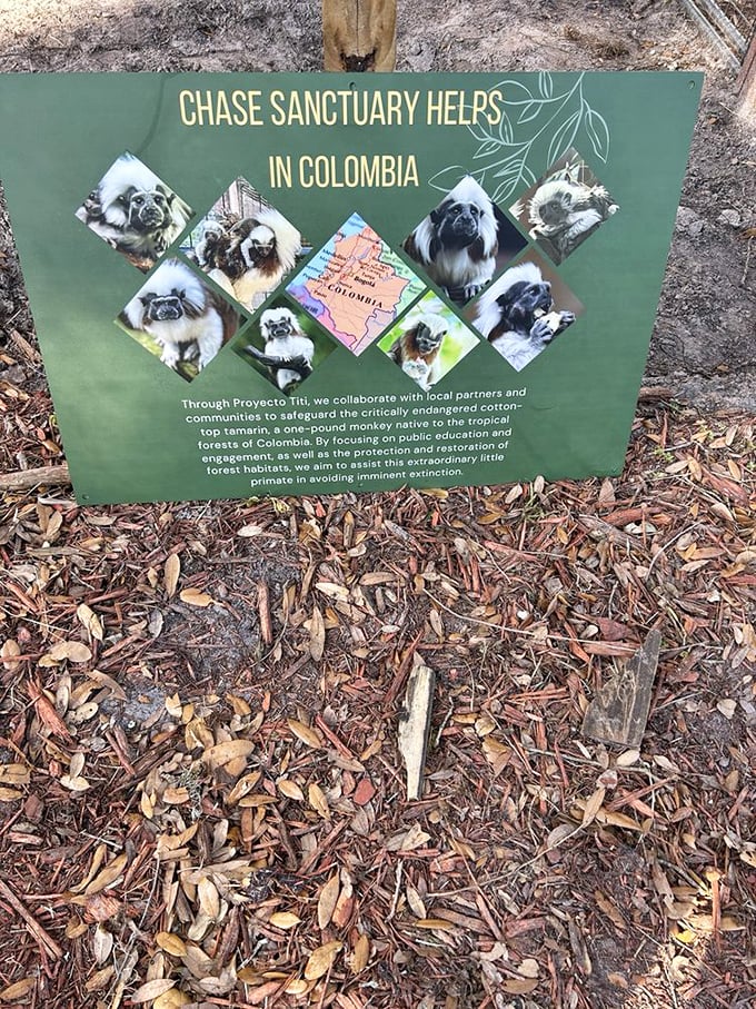 An informational sign explains Chase Sanctuary's international conservation efforts in Colombia, highlighting their commitment beyond local animal care.