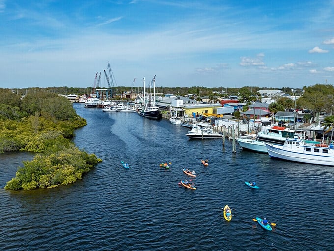 Kayakers paddle through the calm waters, discovering Tarpon Springs from its most natural vantage point.
