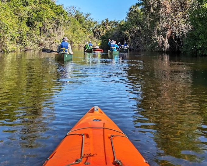 Kayaking through cypress-lined channels offers the ultimate front-row seat to Florida's wild, wet wilderness.