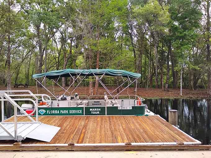 The marsh tour boat waits patiently at the dock, ready to introduce you to Lake Griffin's residents without requiring you to get your feet wet.