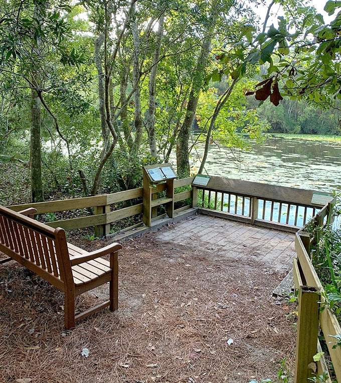 This viewing platform isn't just a wooden deck &ndash; it's front-row seating to nature's never-ending performance art.