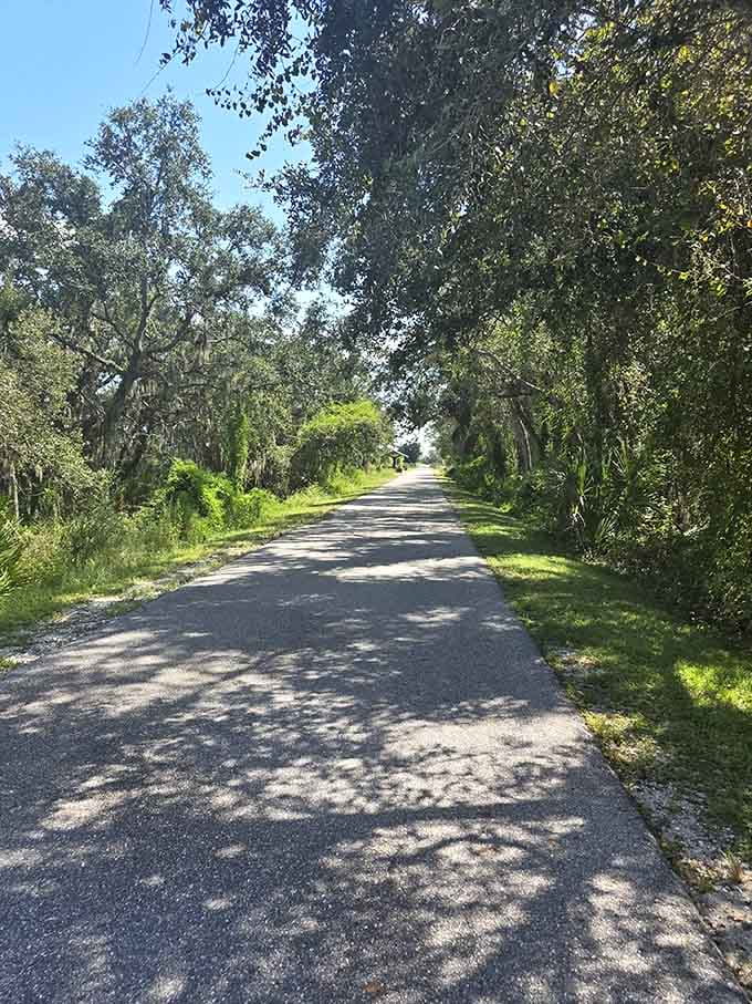 The paved surface welcomes everyone from serious cyclists to families with training wheels, because good infrastructure doesn't discriminate based on skill level.