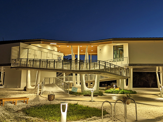 The Discovery Center after dark &ndash; glowing like a modern lighthouse, beckoning visitors to explore Florida's natural wonders.