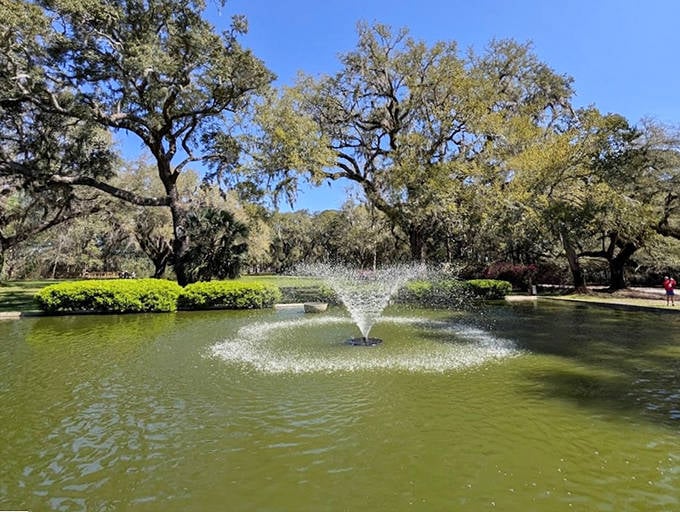 Reflections of perfection! The fountain's spray creates concentric ripples across the pond's surface, hypnotizing visitors into a state of bliss.