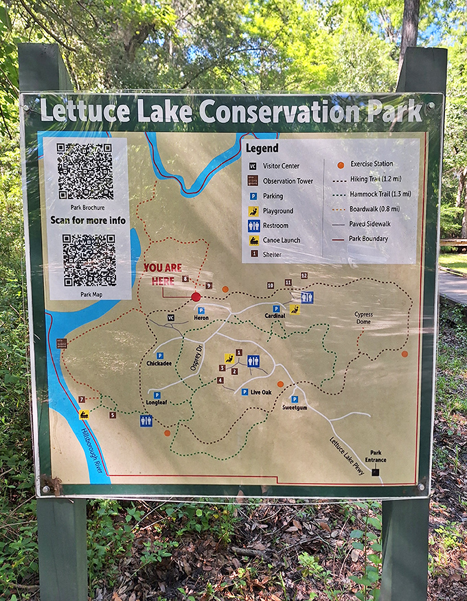 "X" marks the spot where adventure begins – this trail map is your treasure guide to Lettuce Lake's hidden gems.