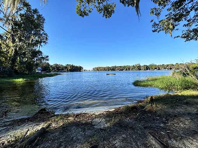 This pristine lake view reminds you why Florida earned its reputation, back before someone decided to build a theme park every five miles.