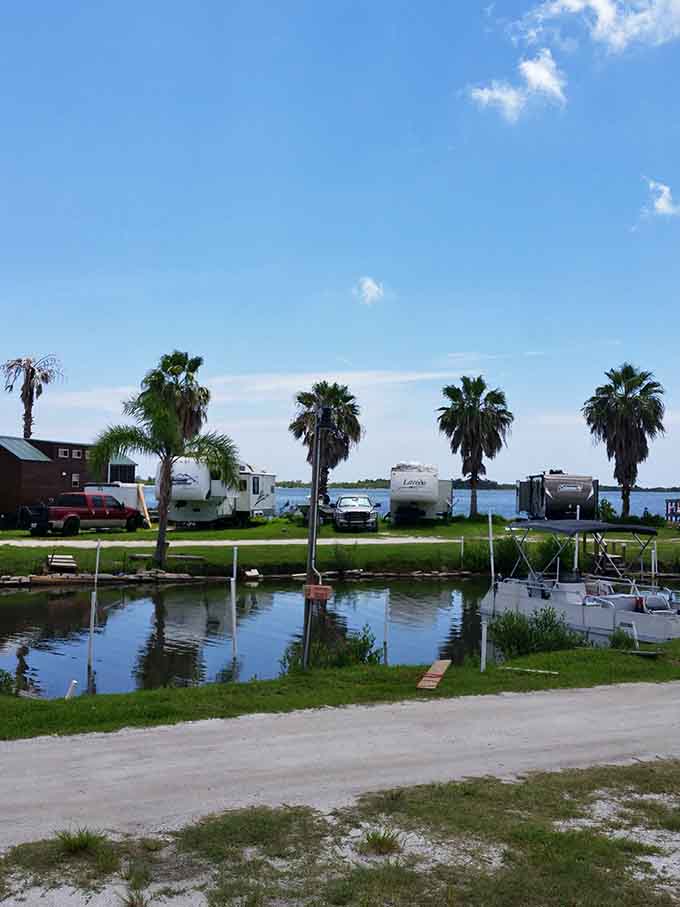 Palm trees swaying over the waterfront create that quintessential Florida scene that makes everyone else wish they lived here too.