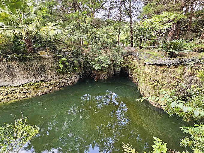 This charming birdhouse stands tall among flowering shrubs, a whimsical touch in the garden's thoughtful design.
