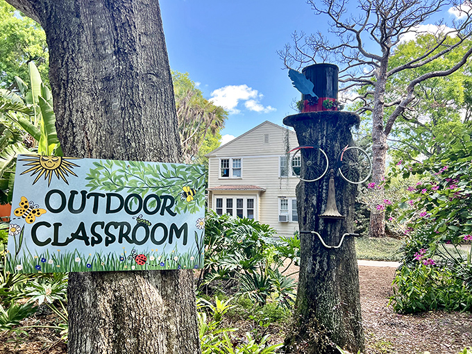 The outdoor classroom proves that the best learning happens outside, surrounded by the subjects you're studying.