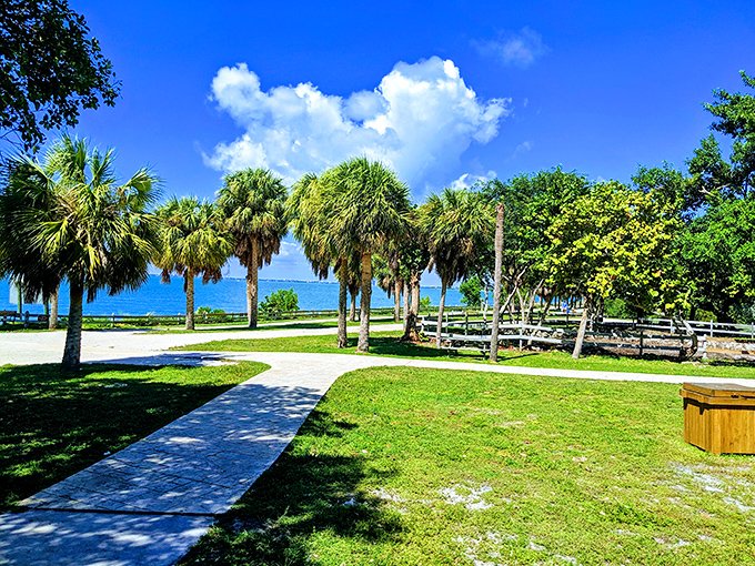 Palm trees frame winding pathways through the grounds, offering shaded respite from the Florida sunshine between beach sessions.