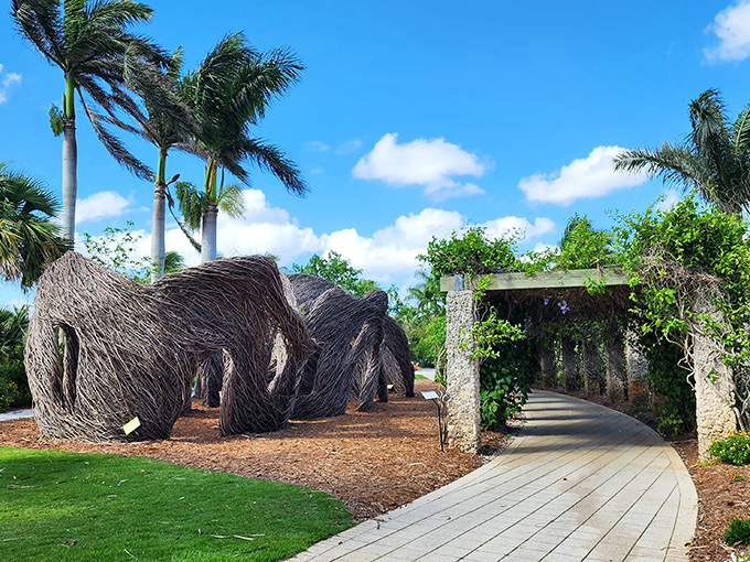 Sunlight filters through this pergola, creating ever-changing patterns that dance across the ground like botanical morse code.