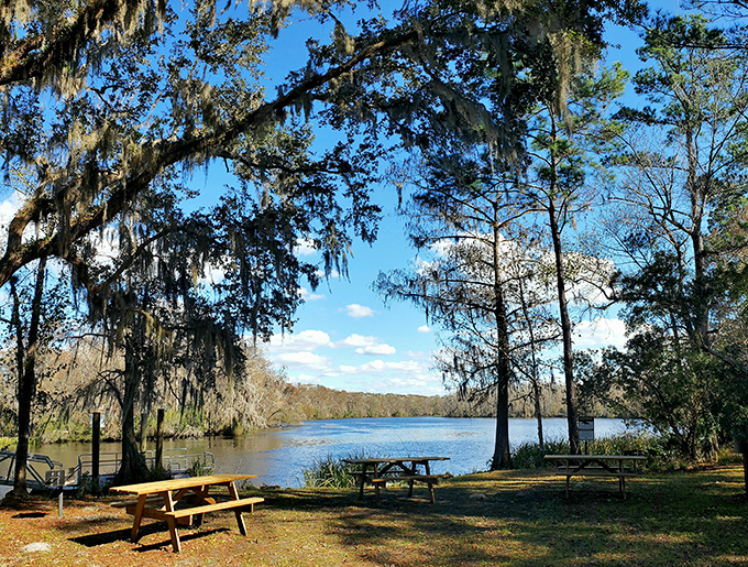 Waterfront picnic spots offer dining with a view that no restaurant reservation could ever match.