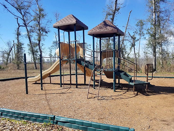 This playground proves kids don't need fancy electronics when there's a good old-fashioned slide and the world's biggest backyard.