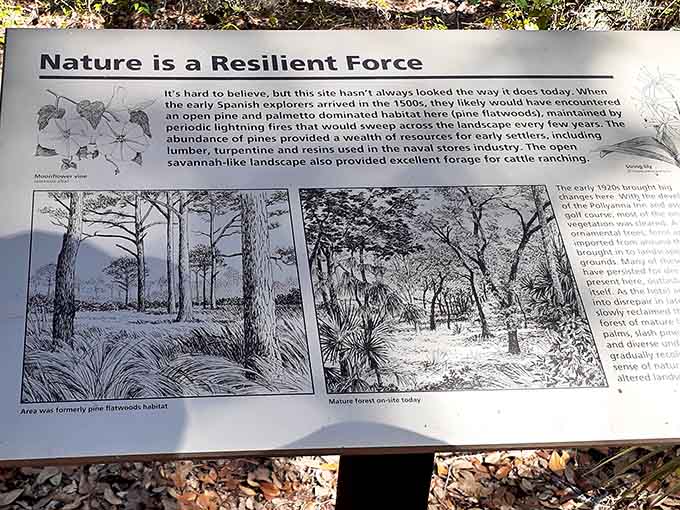 Educational signs transform a simple walk into a learning experience, because knowing what you're seeing makes it even better.