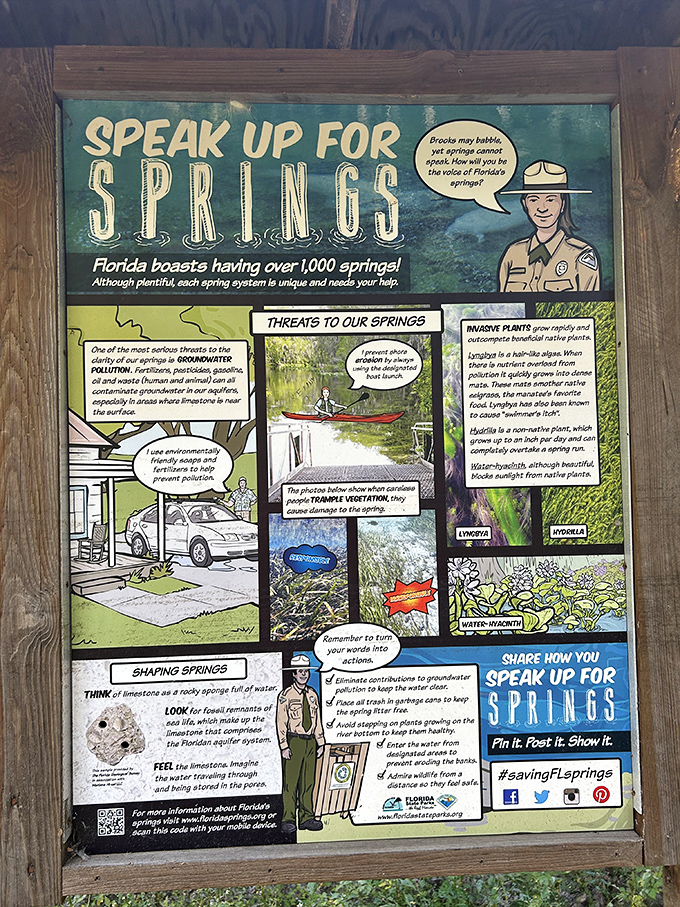 This educational poster reminds visitors that Florida's springs face modern threats &ndash; from pollution to invasive plants &ndash; that early spa-goers never imagined.