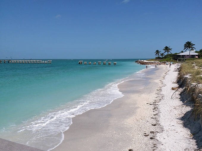 Crystal clear waters reveal a sandy seabed where stingrays glide like underwater birds and tiny fish dart between your ankles.