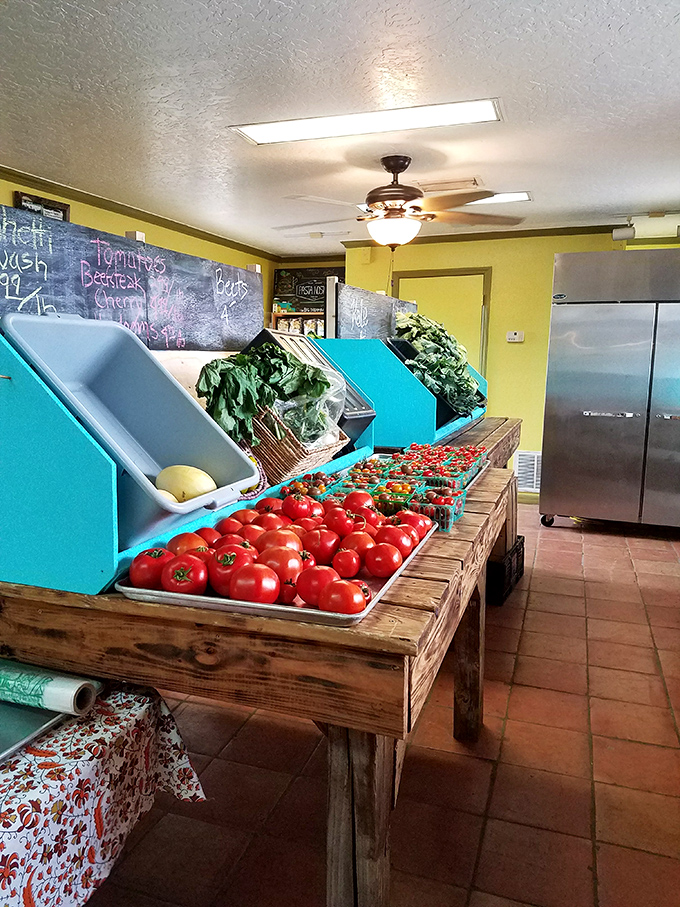 Garden-fresh produce arranged with care &ndash; these tomatoes probably taste like your childhood memories of summer.