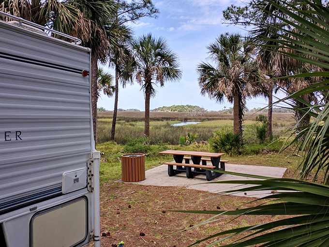Camping with a view: Where your morning coffee comes with a side of breathtaking coastal scenery.