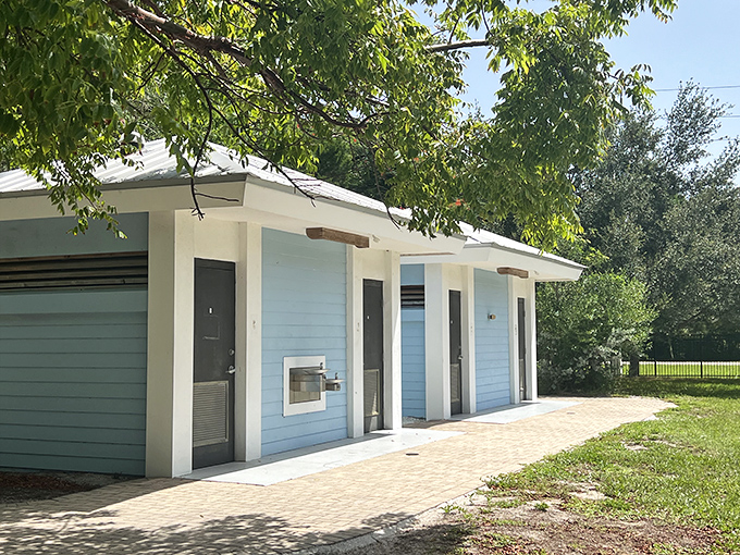 Clean, well-maintained facilities ensure comfort without compromising the wilderness experience. Even nature appreciates good infrastructure.