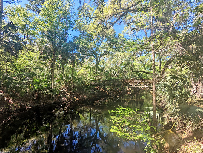 Reflections in still waters mirror the duality of Hampton Springs &ndash; both forgotten relic and rediscovered treasure for curious travelers.