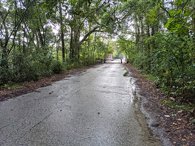 The unassuming path to the bridge keeps this local secret safe from mass tourism, rewarding only those curious enough to venture off-route.