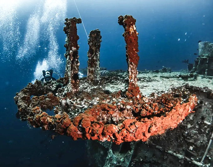 Nature's reclamation project in full swing &ndash; rusty beams transform into vibrant marine habitats as coral and sponges create underwater real estate.