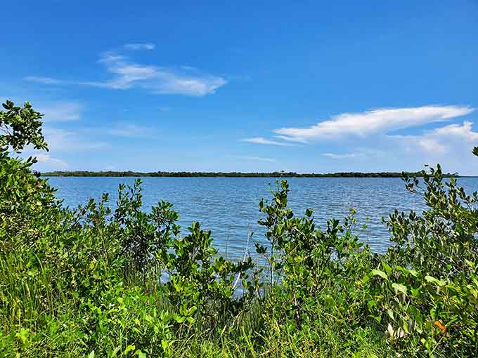 The lagoon's calm waters hide an underwater world busier than rush hour, just with better scenery and fewer angry commuters.