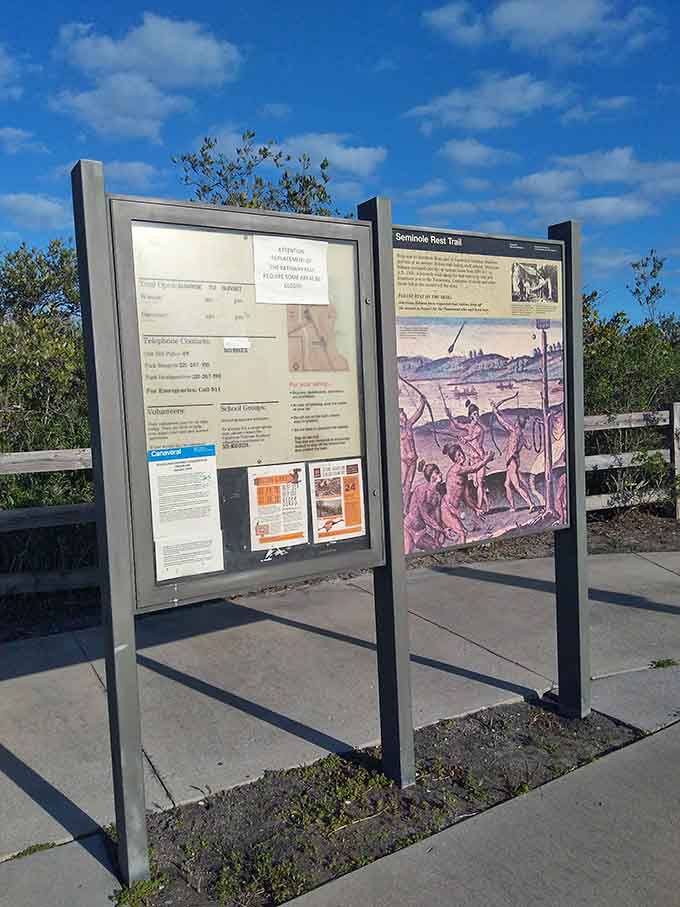 Information signs throughout the preserve tell stories of the Timucua and Ais peoples whose shell mounds still rise dramatically from the surrounding terrain.