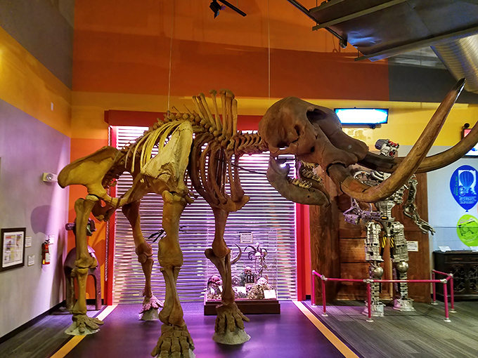 Ancient bones tower over visitors, offering silent testimony to prehistoric giants who roamed long before upside-down buildings existed.