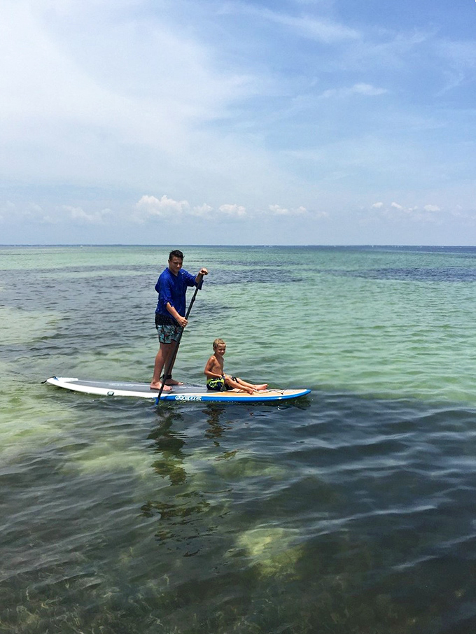 Crystal-clear waters reveal underwater treasures as paddleboarders glide across the surface of St. Joseph Bay's natural aquarium.