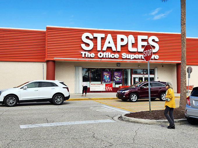 Even office supply shopping feels somehow more pleasant in Venice, where palm trees frame every parking lot.