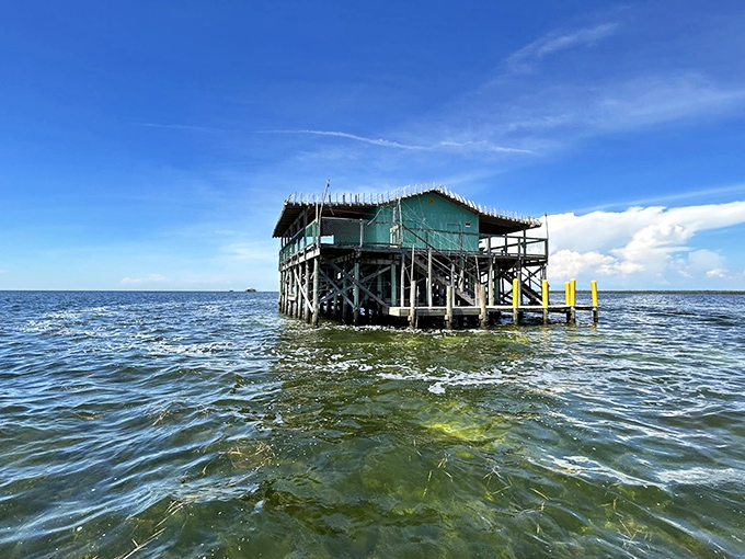 This mint-green fishing camp emerges from crystal waters, a floating reminder of Florida's pre-tourism coastal heritage.