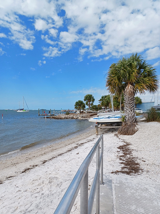 Palm trees stand guard over sandy shores where boats rest between adventures on Dunedin's inviting waters.